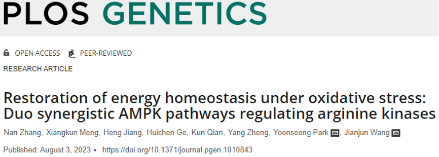 PLoS Genetics |王建军教授课题组揭示氧化应激条件下AMPK调控能量稳态的分子机制-扬州大学植物保护学院